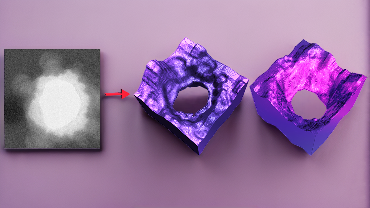 Rapid, accessible 3D imaging from a single 2D projection is possible ...