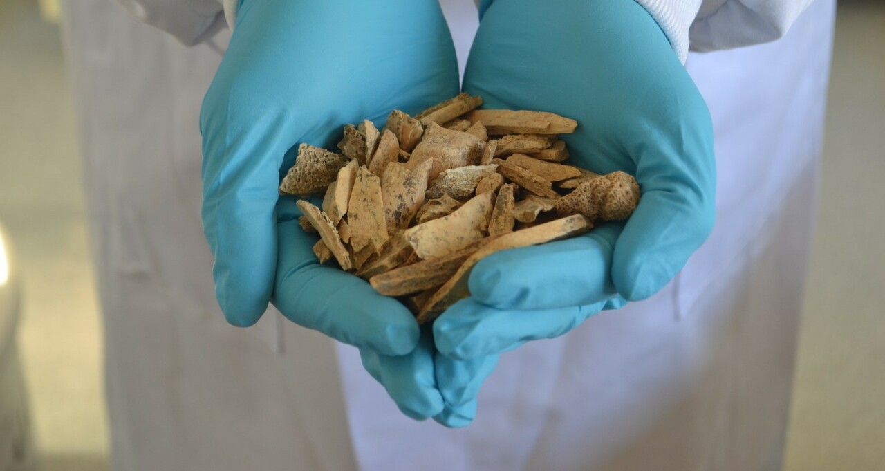 Using fragmented bone to reconstruct the lifeways of Homo sapiens in ...