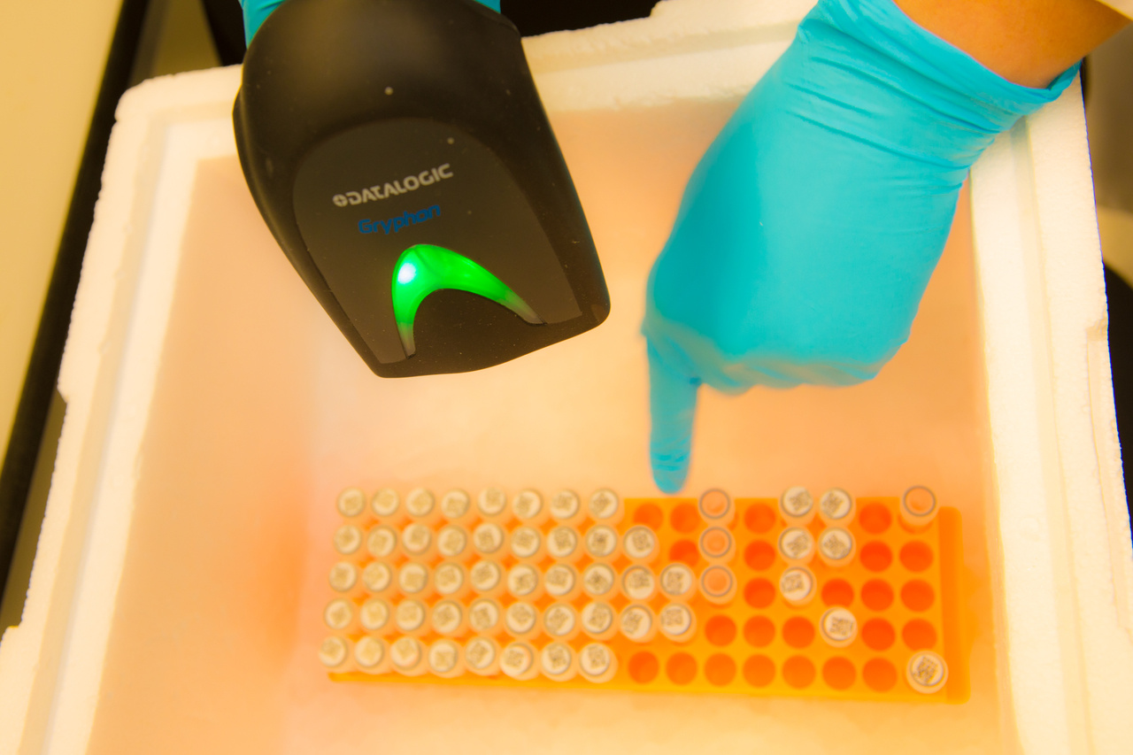 Count your blessings: quantitative microbiomics | Research Communities ...