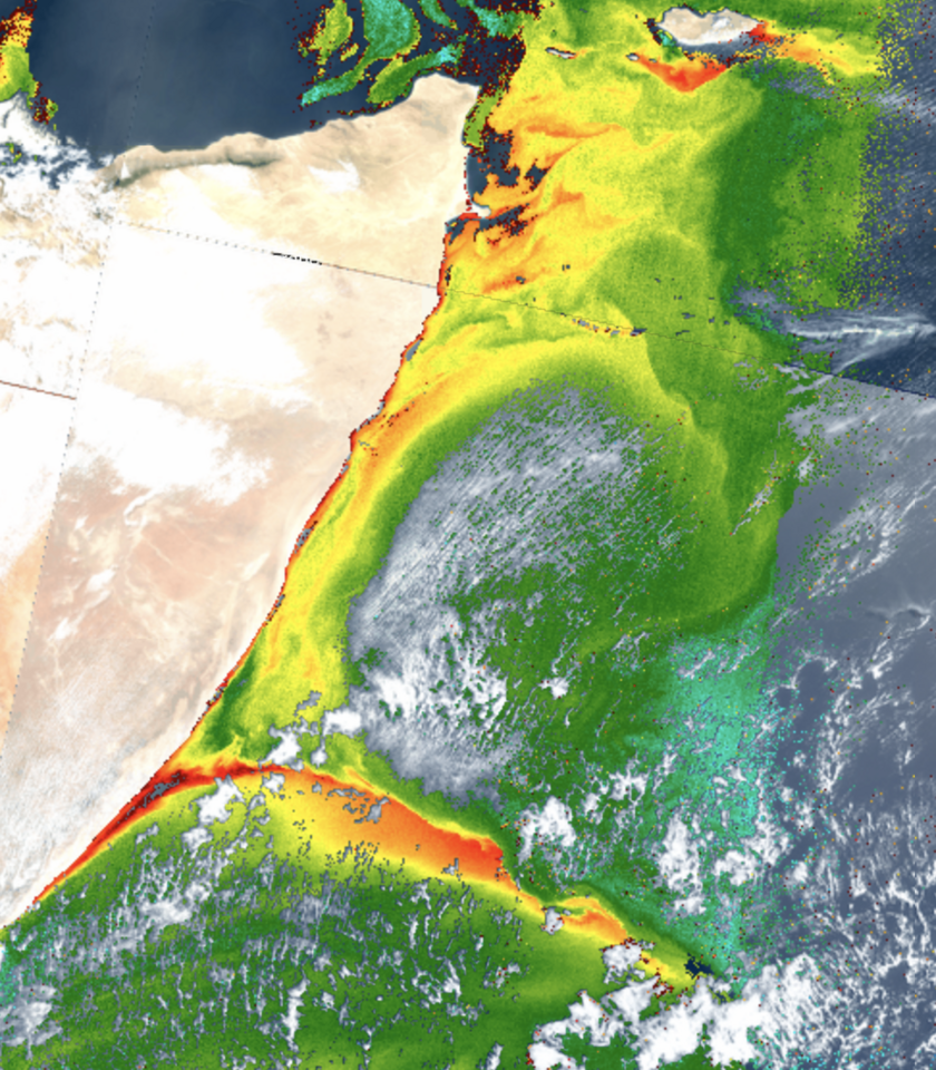The Great Whirl absence reduces the Somali upwelling productivity ...