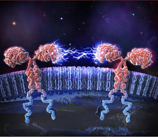 The AI-Driven CAR-T Design Arrives | Research Communities by Springer ...