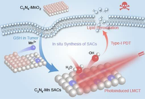 Tumor-activated in situ synthesis of single-atom catalysts for O2 ...