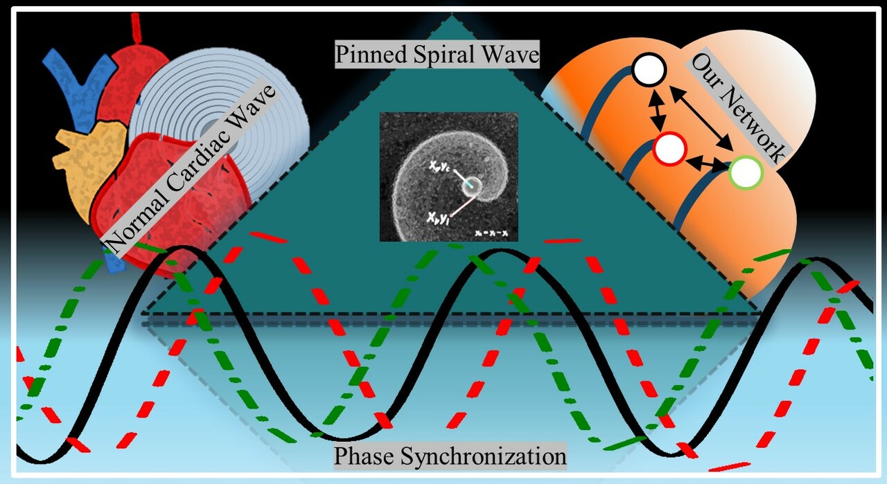 Do we really know about complex collective interactions of abnormal ...