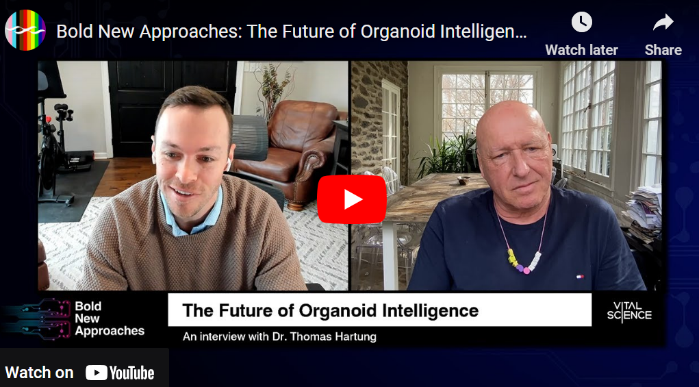 Bold New Approaches: The Future of Organoid Intelligence | A Vital ...
