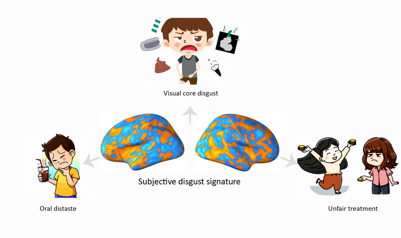 Rotten to the core: a neurofunctional signature of subjective disgust ...