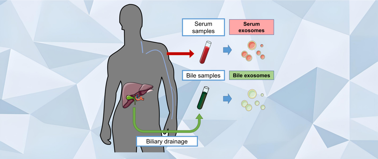 Leveraging different types of bodily fluids for cancer research ...