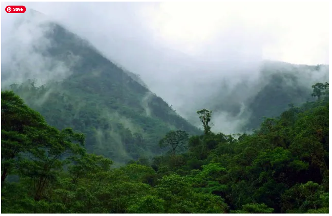 Spatial partitioning of terrestrial precipitation reveals varying ...