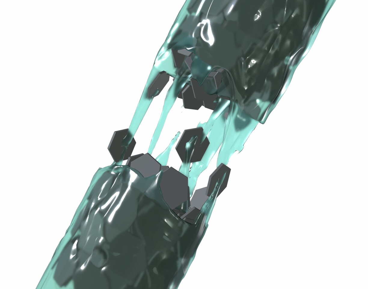 A Bio-Inspired Model Design for Developing Hierarchically Structured ...