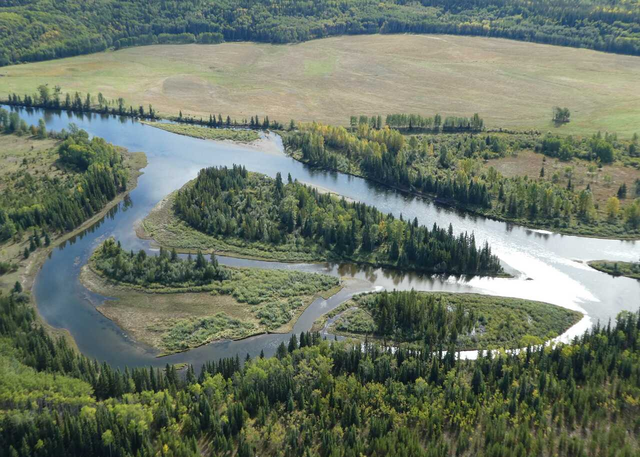 Extreme hydrometeorological events induce abrupt and widespread changes ...