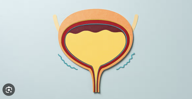 Project Outline: Ride-hailing Urbanism and Digital Platformization in ...
