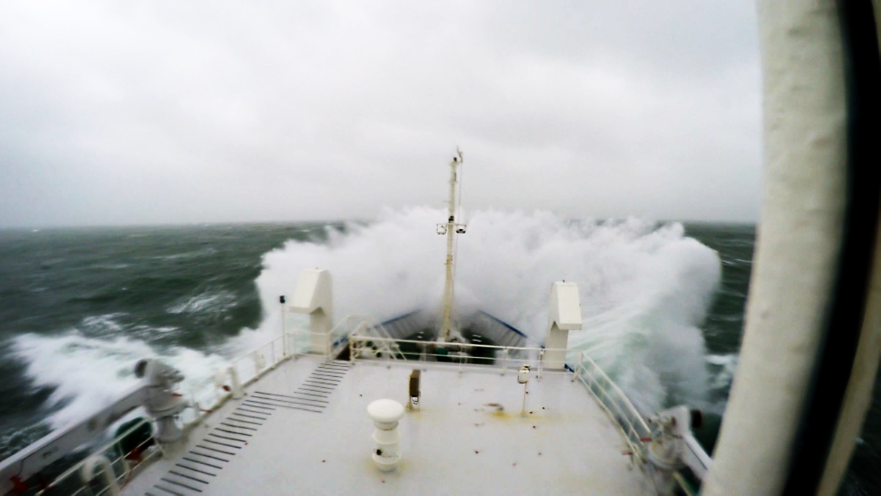 How an unexpected storm led to surprising insights on human and natural ...