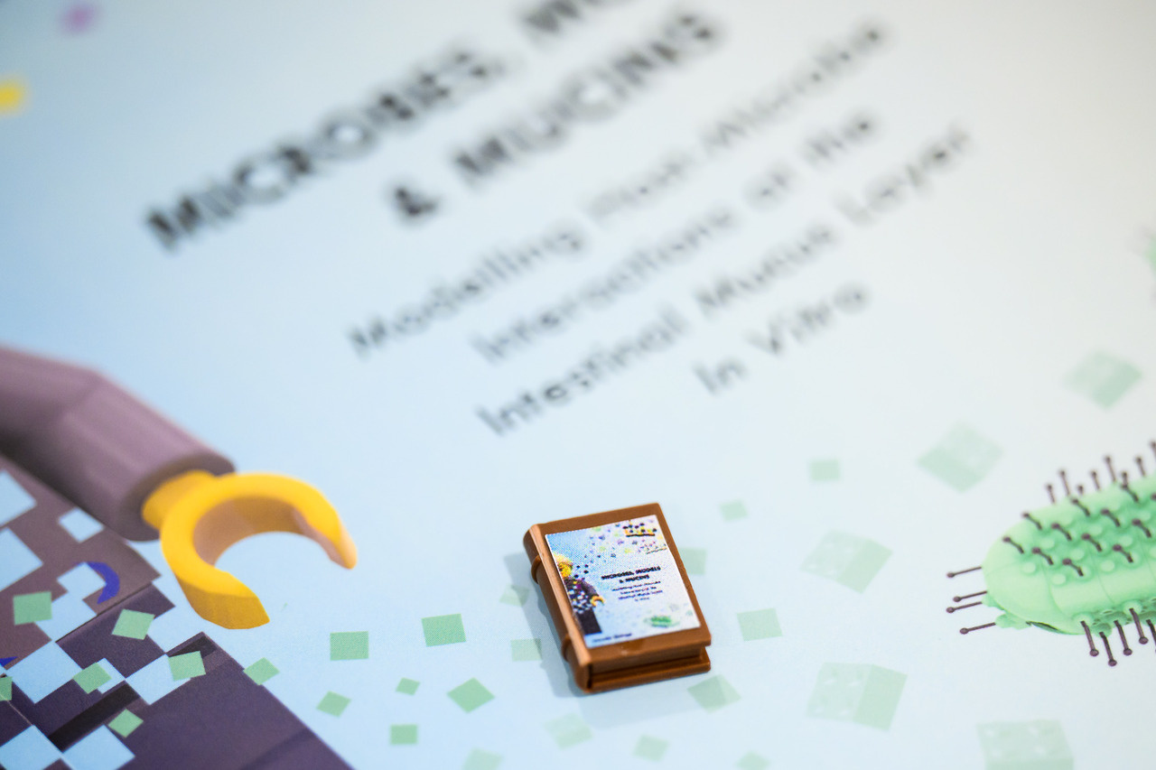 Building a paper with Lego® | Research Communities by Springer Nature