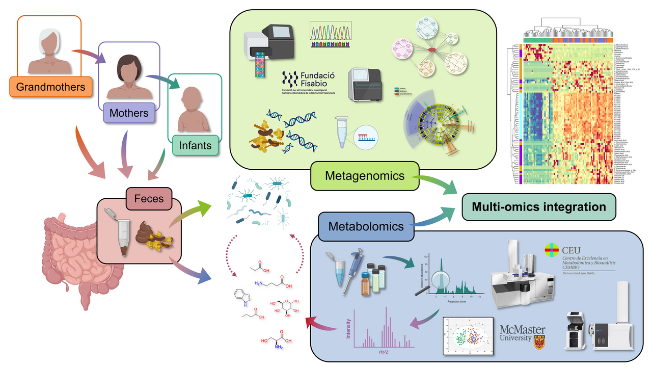 Human gut microbiome and fecal metabolome: a detailed description ...
