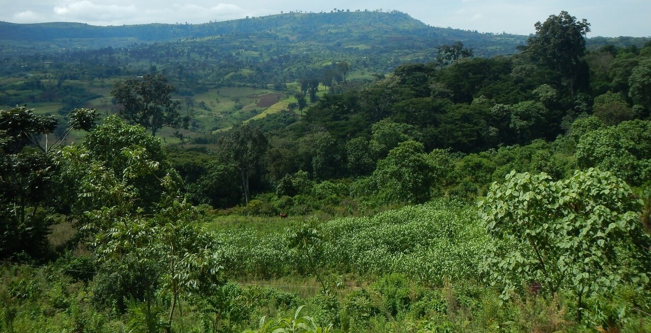 Could land sparing work to integrate agricultural production and ...