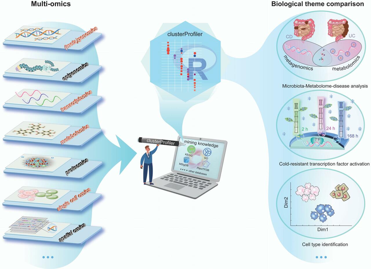 Using clusterProfiler to characterise Multi-Omics Data | Research ...