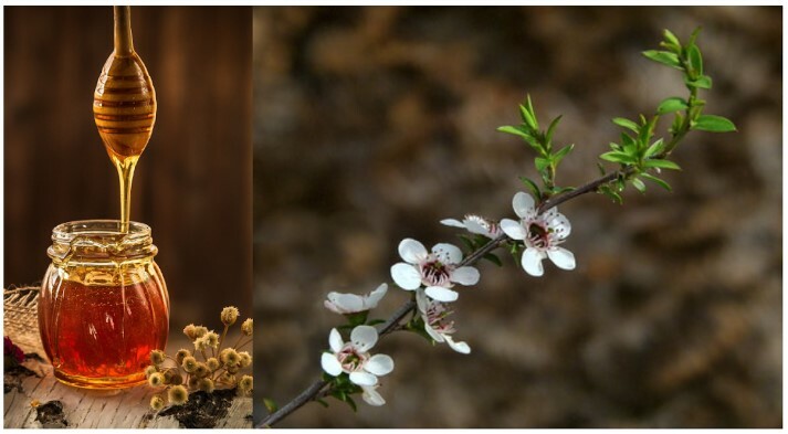 Why is Manuka Honey Unique? | Research Communities by Springer Nature
