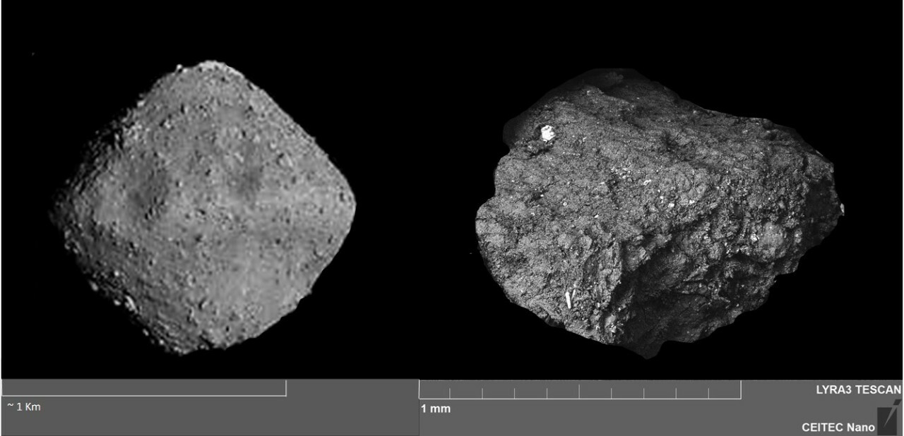 The evolution of organic material on Asteroid 162173 Ryugu and its ...