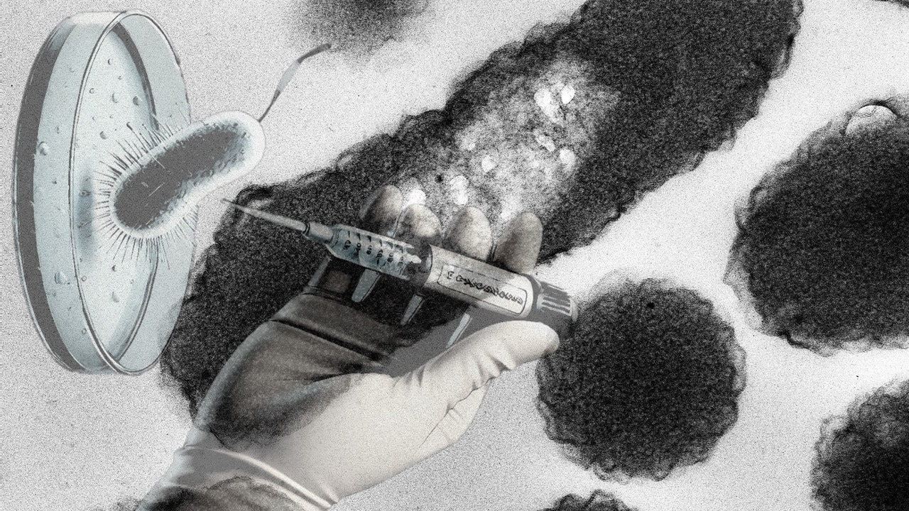 The Future of Cyborg Cells as Semi-Living Micromachines | Research ...