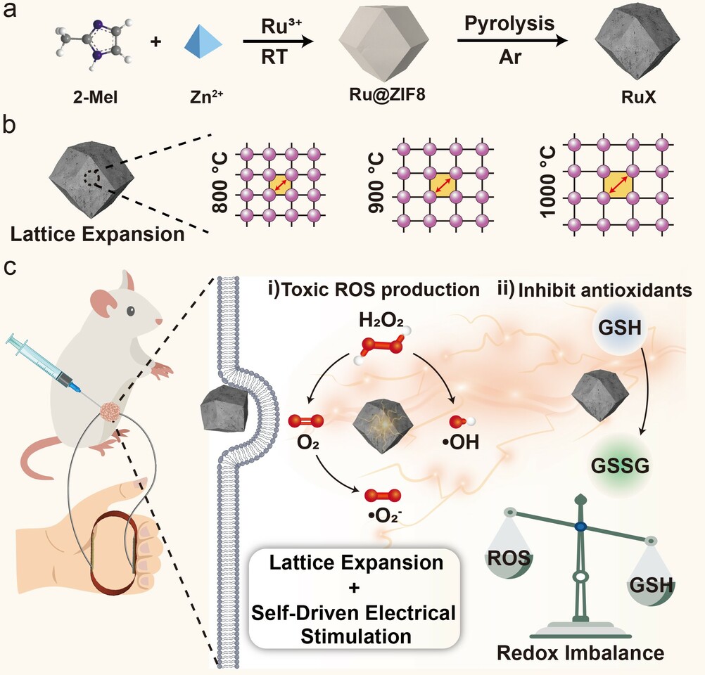 Lattice expansion as a new strategy for improving catalytic activity and electro-responsiveness ...