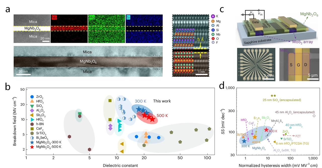 Downscaling two-dimensional integrated circuits by using ultrathin high ...