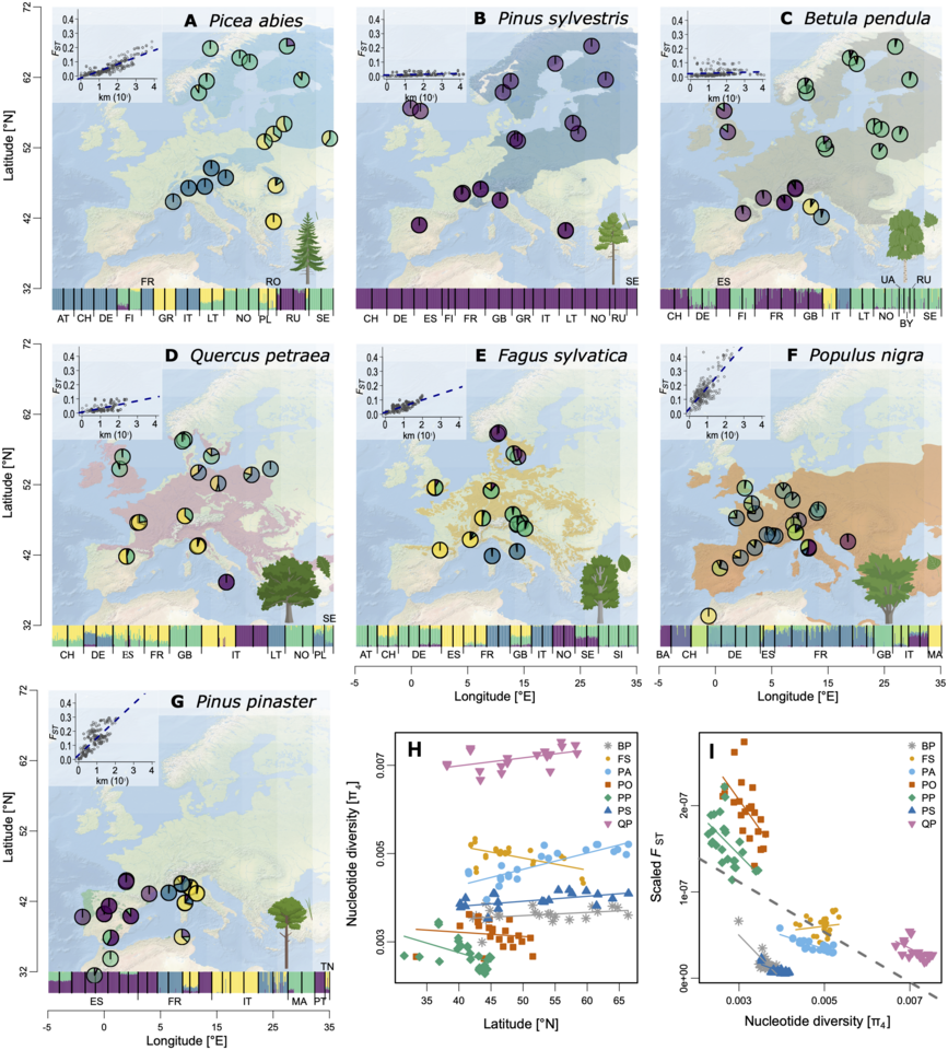 Tree population genomics. A story of 10 years of research and 10 million years of evolution ...