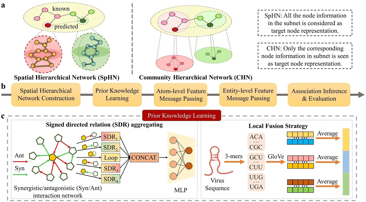 A spatial hierarchical network learning framework for drug ...