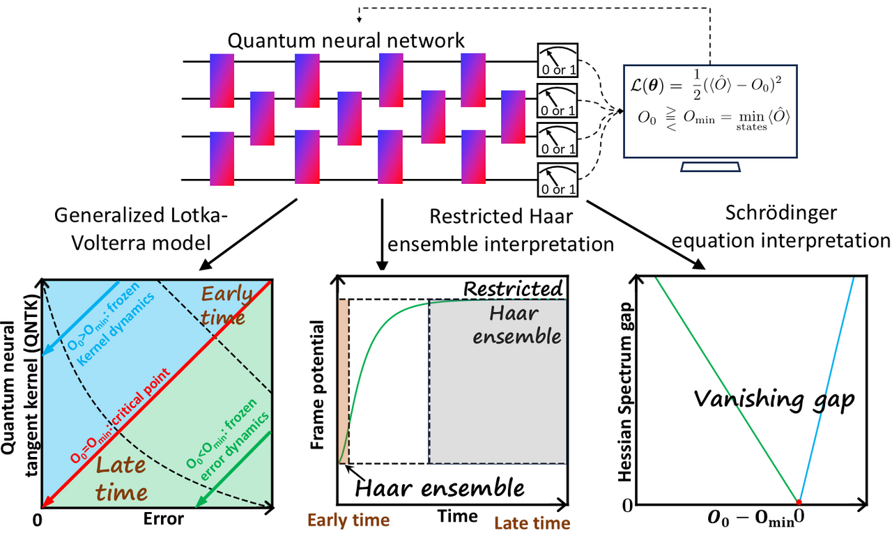 Dynamical transition in controllable quantum neural networks with large depth | Research ...