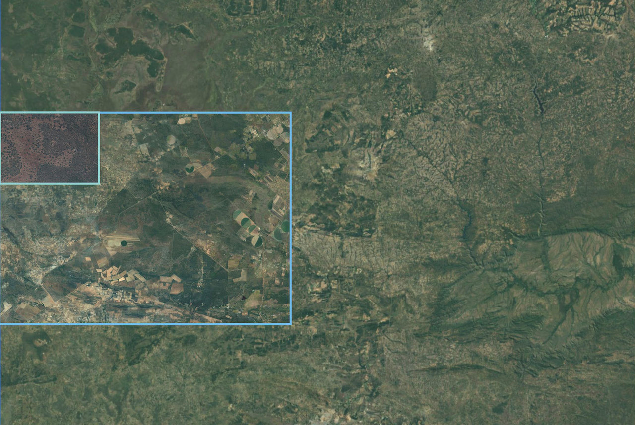 Extracting and Analyzing The Scales of Ecological Observations ...