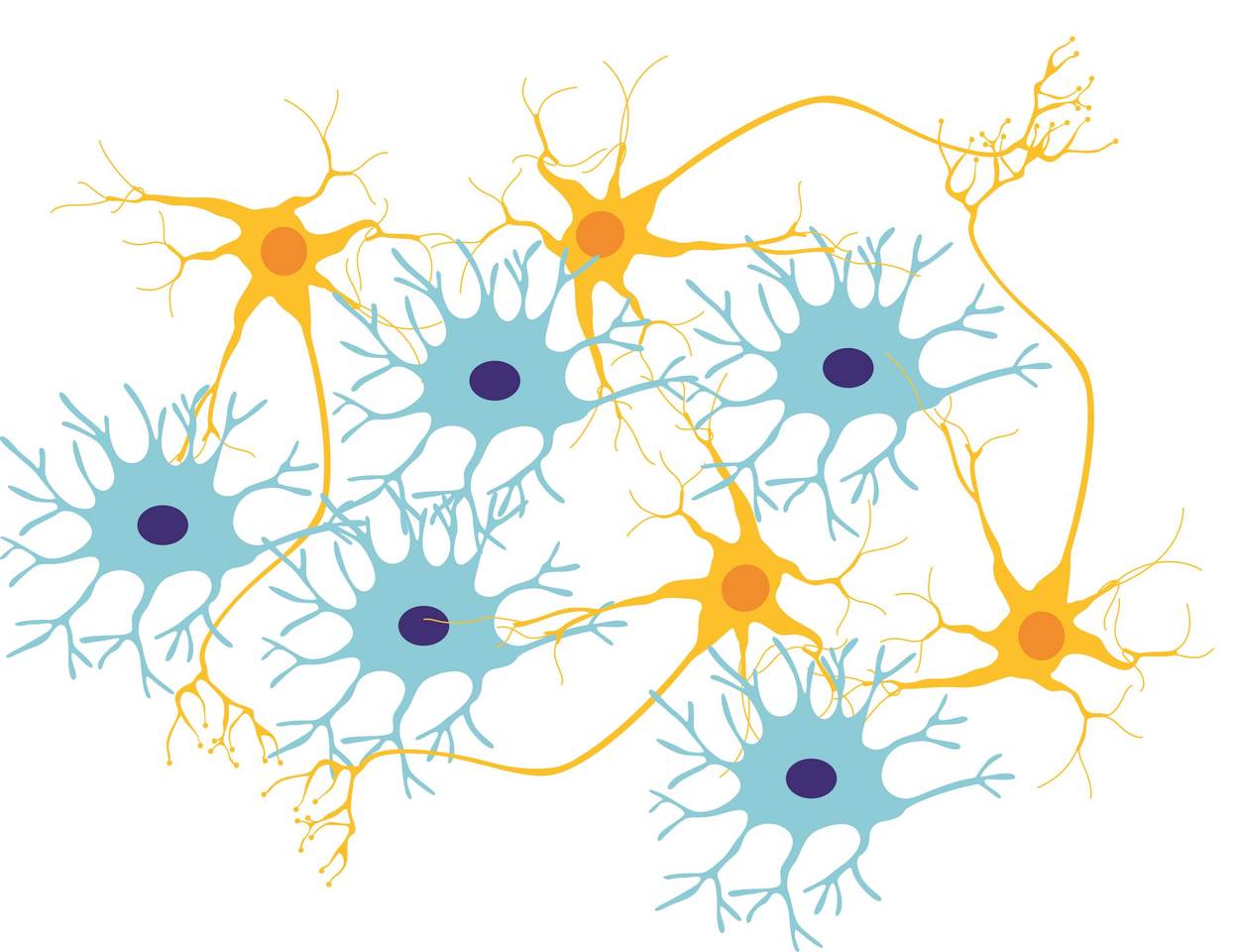 The domain of approximate: engineering neural tissues to model the ...