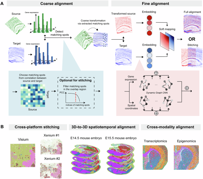 SANTO: a coarse-to-fine alignment and stitching method for spatial ...