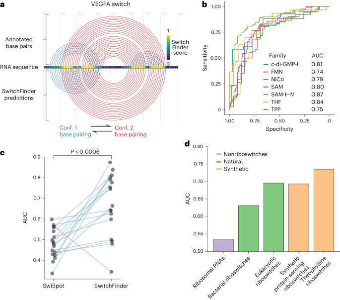 Unveiling the Hidden Role of mRNA: Discovering RNA Switches in Human ...