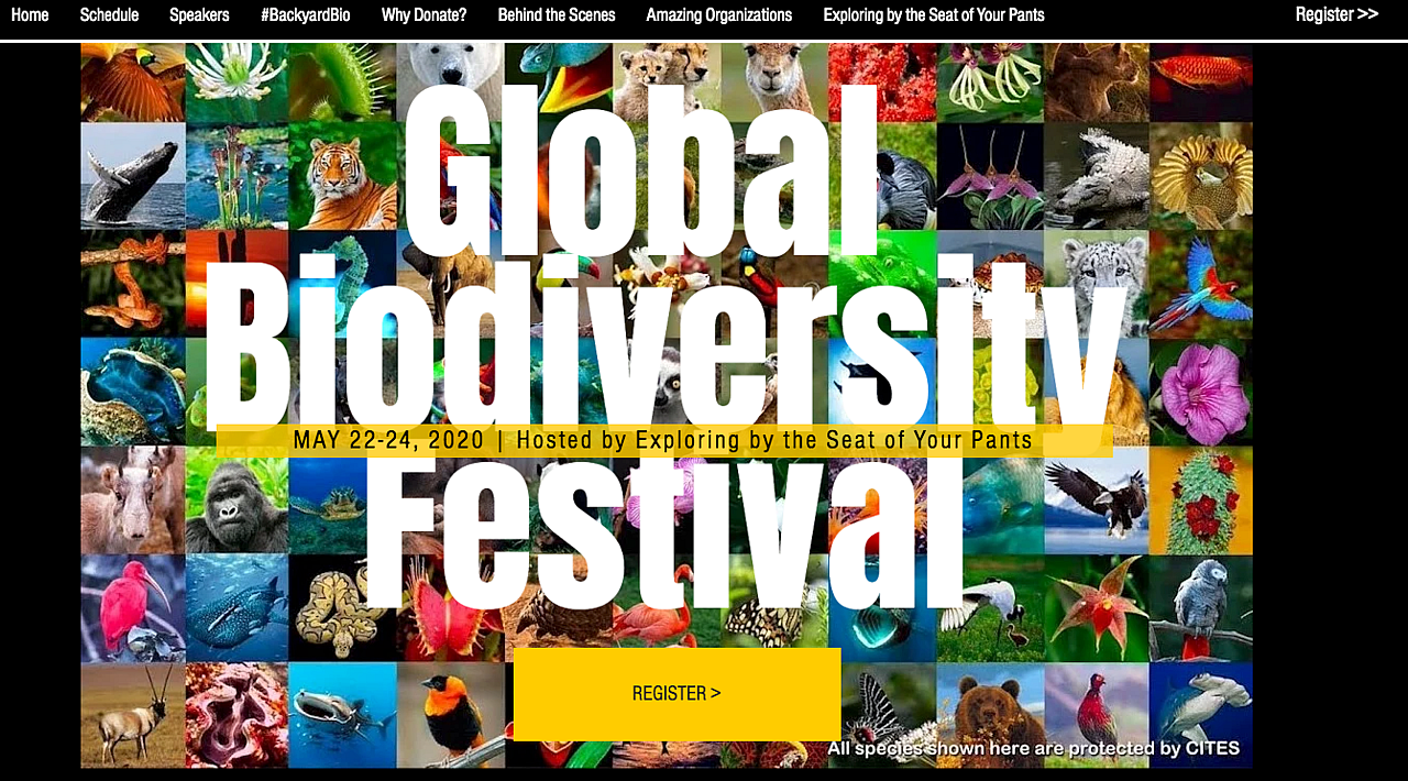 The Global Biodiversity Festival 22-24 May | WildHub