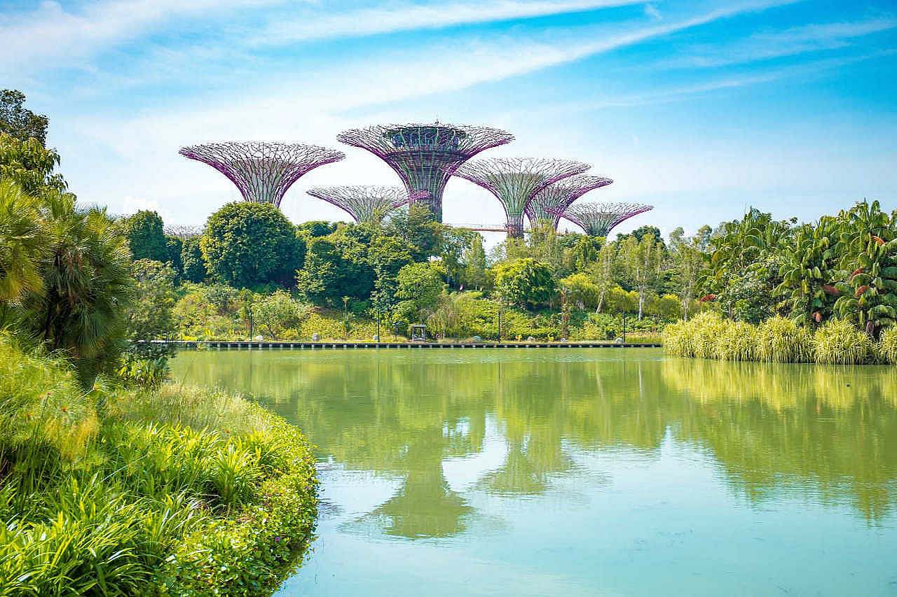 Conserving native biodiversity in a high density city: the Singapore ...