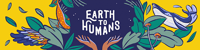 Earth to Humans: Folklore, the shared human experience | WildHub