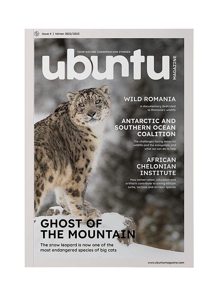 Ubuntu Magazine issue 4 is now out! | WildHub