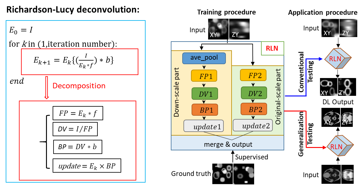 Incorporating the image formation process into deep learning improves network performance ...
