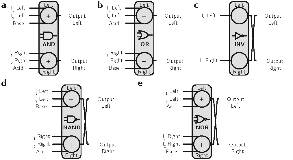 Digital Circuits and Neural Networks using Acid-Base Chemistry ...