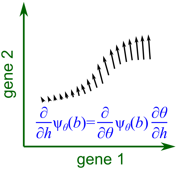 A unified model for interpretable latent embedding of multi-sample, multi-condition single-cell ...