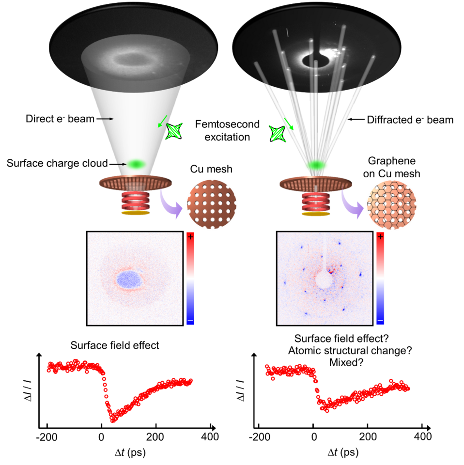 Disentangling surface atomic motions from surface field effects in ultrafast low-energy electron ...
