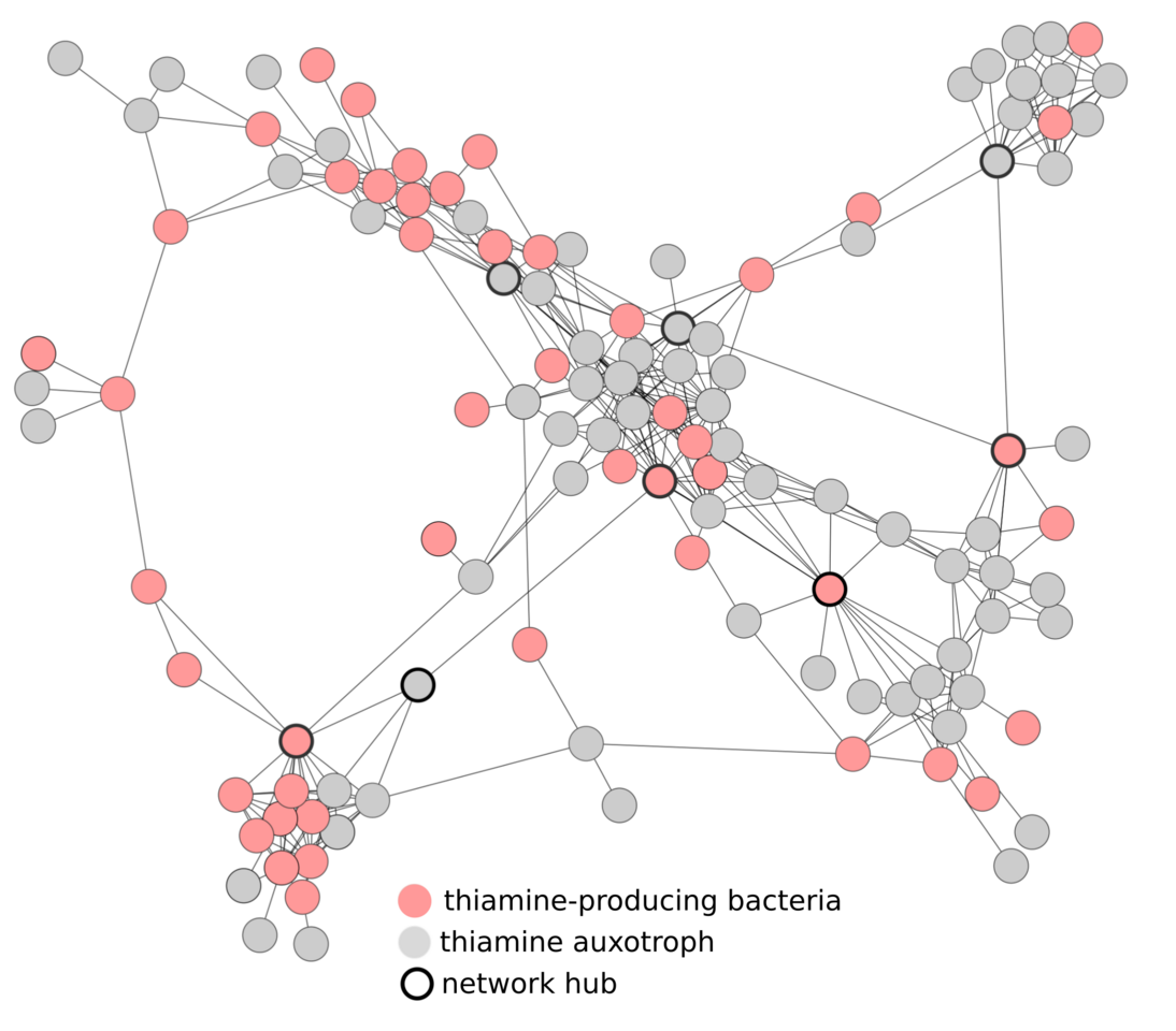 Combining metagenomics and network analyses identifies microbial interactions and their ...