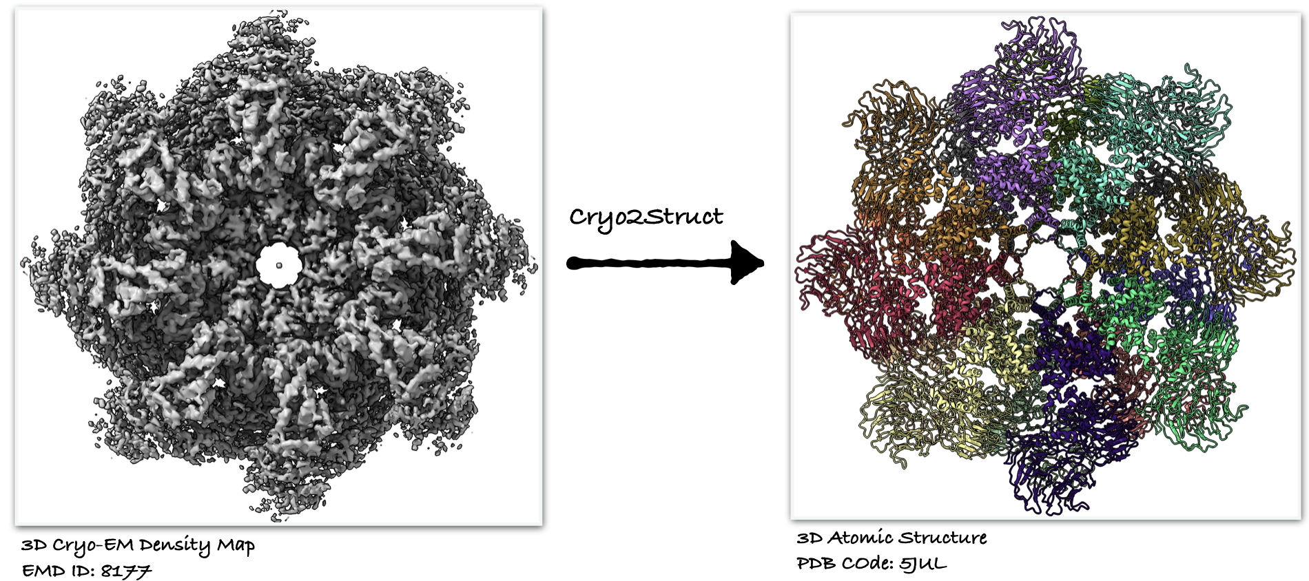 Protein Atomic Structure