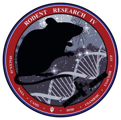 Nasa Animal Experiment