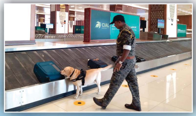 Indian Customs: The Guardian of Wildlife Frontiers of India | WildHub