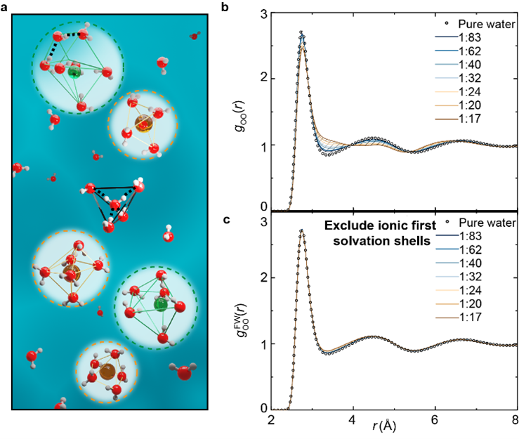 Salt And Water Molecule Structure