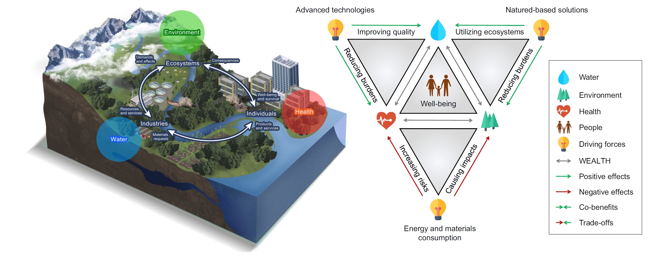 Water Ecosystem Sustainability