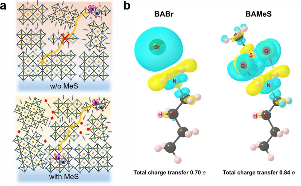 Smoothing energy transfer pathway leads to highly efficient quasi-2D perovskite light-emitting ...