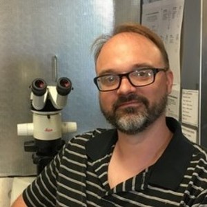 Stephen L. Gasior | Research Communities by Springer Nature