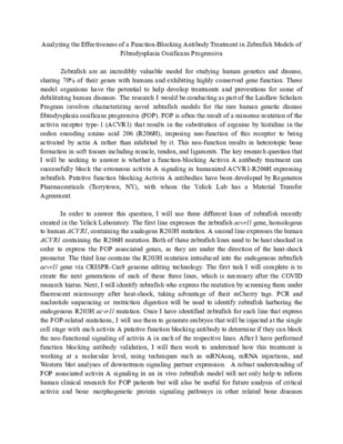 Initial Research Project Proposal | Laidlaw Scholars Network