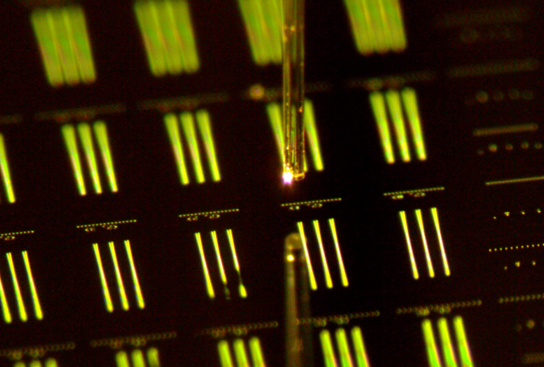 Emergence of intelligence with complexity in integrated optical system ...