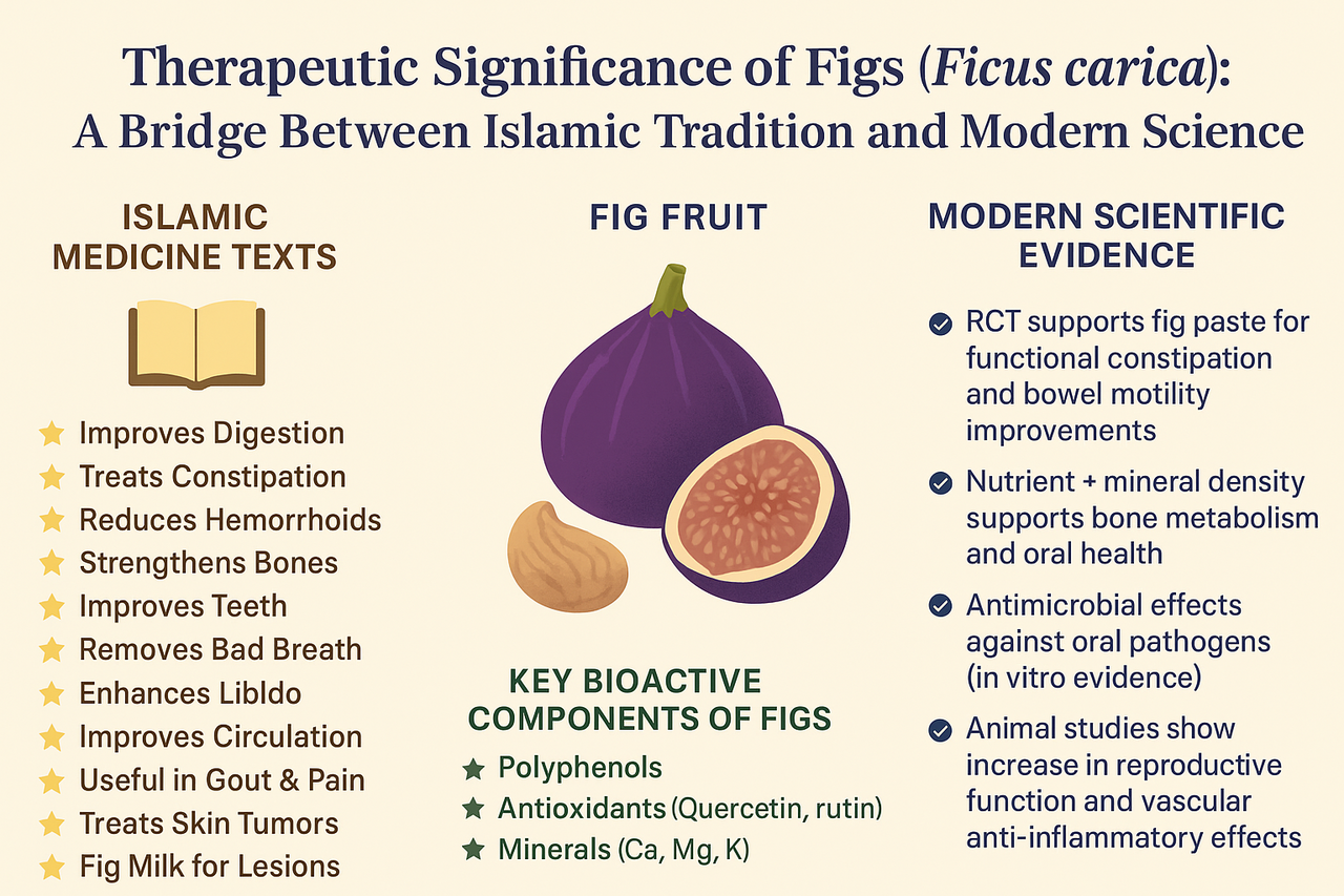 Figs (Ficus carica) in Scripture, Tradition, and Science: Traditional ...